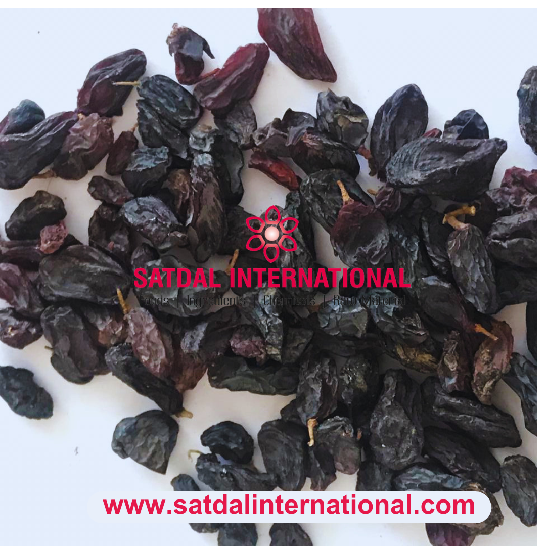 Black Raisin: A Global Superfood with Indian Roots - Satdal International